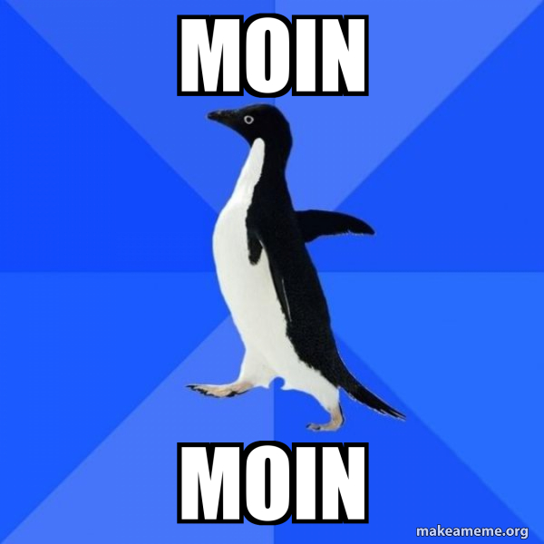 moin moin - Socially Awkward Penguin Meme Generator