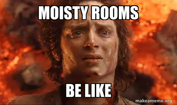 Moisty rooms be like - Frodo it's over it's done Meme Generator