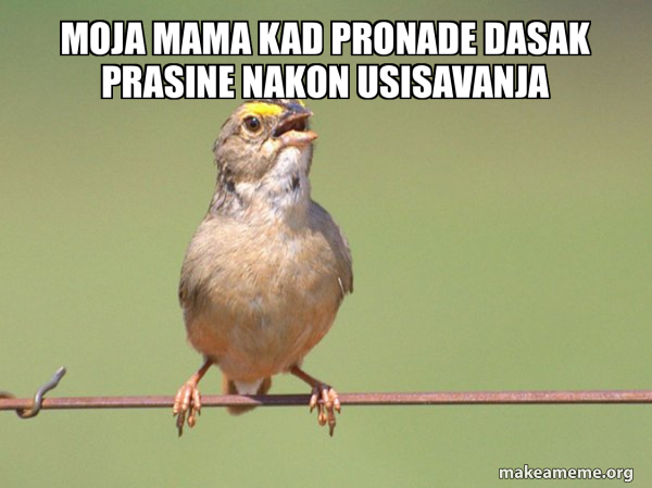 MOJA MAMA KAD PRONADE DASAK PRASINE NAKON USISAVANJA - Common Opinion ...