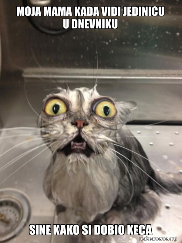 Moja mama kada vidi jedinicu u dnevniku Sine kako si dobio keca - Cat ...