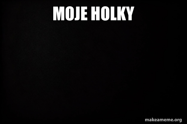 Moje holky Meme Generator