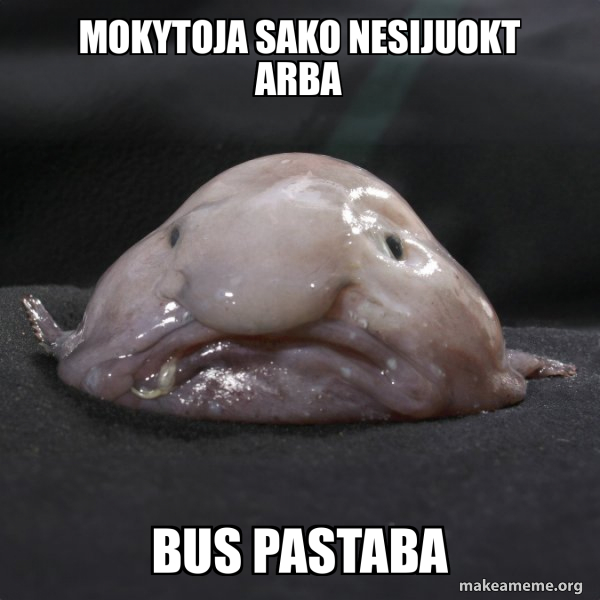 Mokytoja sako nesijuokt arba Bus pastaba - Blobfish Meme Generator