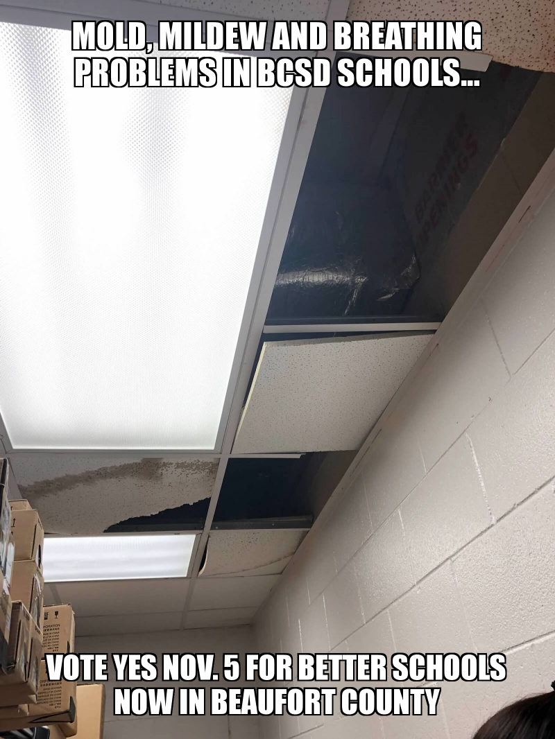 mold, mildew and breathing problems in bcsd schools... vote yes nov. 5 ...