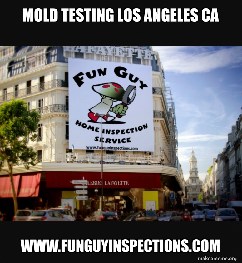 MOLD TESTING LOS ANGELES CA WWW.FUNGUYINSPECTIONS.COM - MOLD TESTING ...