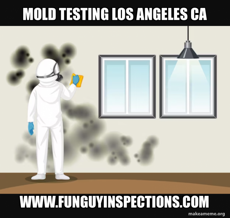 MOLD TESTING LOS ANGELES CA WWW.FUNGUYINSPECTIONS.COM - MOLD TESTING ...