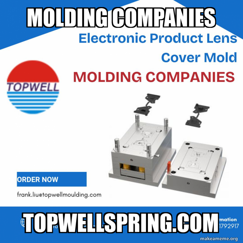MOLDING COMPANIES topwellspring.com Meme Generator