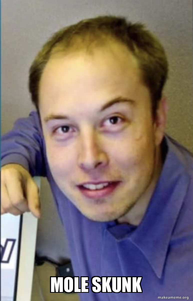 MOLE SKUNK Meme Generator