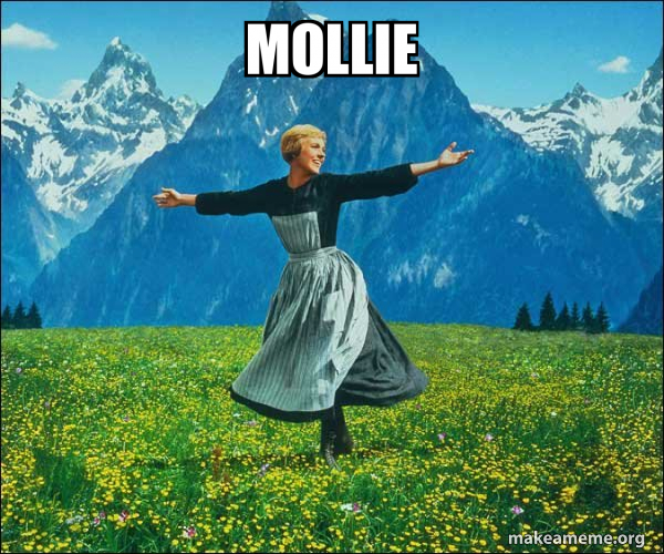 mollie - Sound of Music Meme Generator
