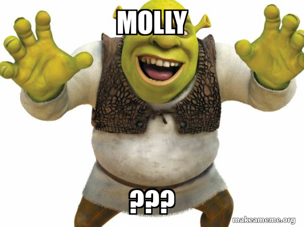 molly ??? - Shrek Meme Generator