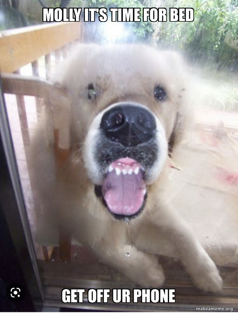 Molly it's time for bed get off ur phone Meme Generator