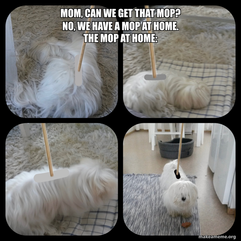 Mom, can we get that mop? No, we have a mop at home. The mop at home ...