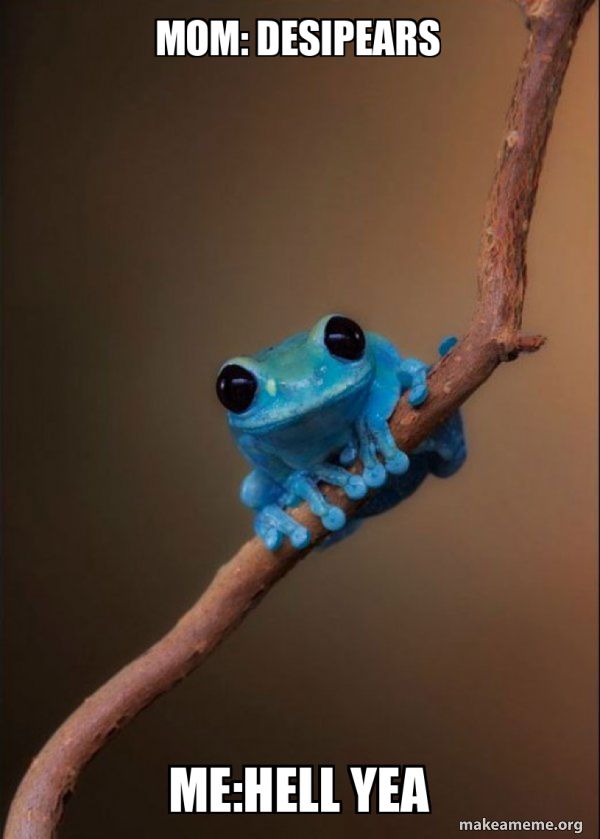 mom: desipears ME:HELL YEA - Small Fact Frog Meme Generator