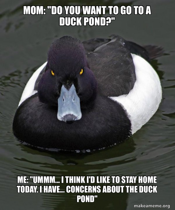 mom: "do you want to go to a duck pond?" me: "ummm... i think i'd like ...