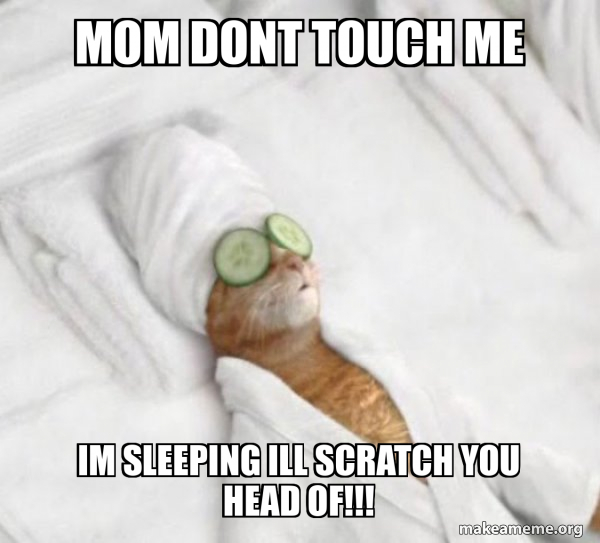 MOM DONT TOUCH ME IM SLEEPING ILL SCRATCH YOU HEAD OF!!! - Pampered Cat ...