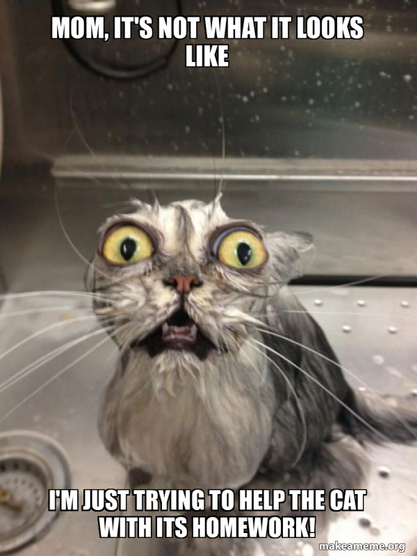 Mom, it's not what it looks like I'm just trying to help the cat with ...