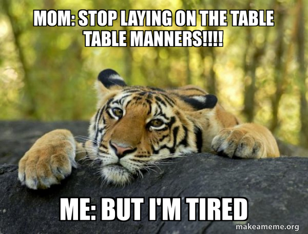 Mom: Stop Laying on the table TABLE MANNERS!!!! Me: but I'm Tired - Confession Tiger Meme Generator