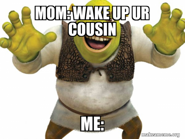 MOM: wake up ur cousin ME: - Shrek Meme Generator