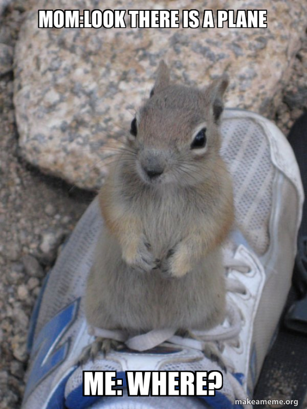 mom:look there is a plane me: where? - Standover Squirrel Meme Generator