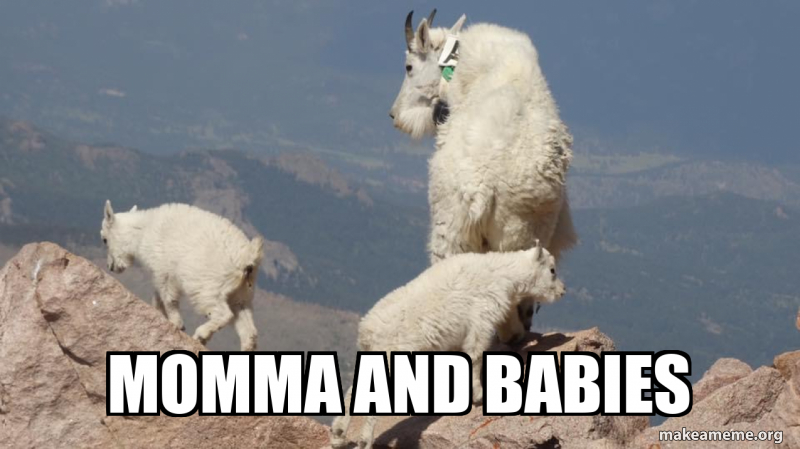 momma and babies Meme Generator