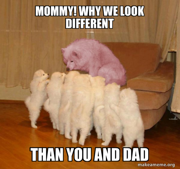 Mommy! why we look different than you and dad - Malicious Storytelling ...