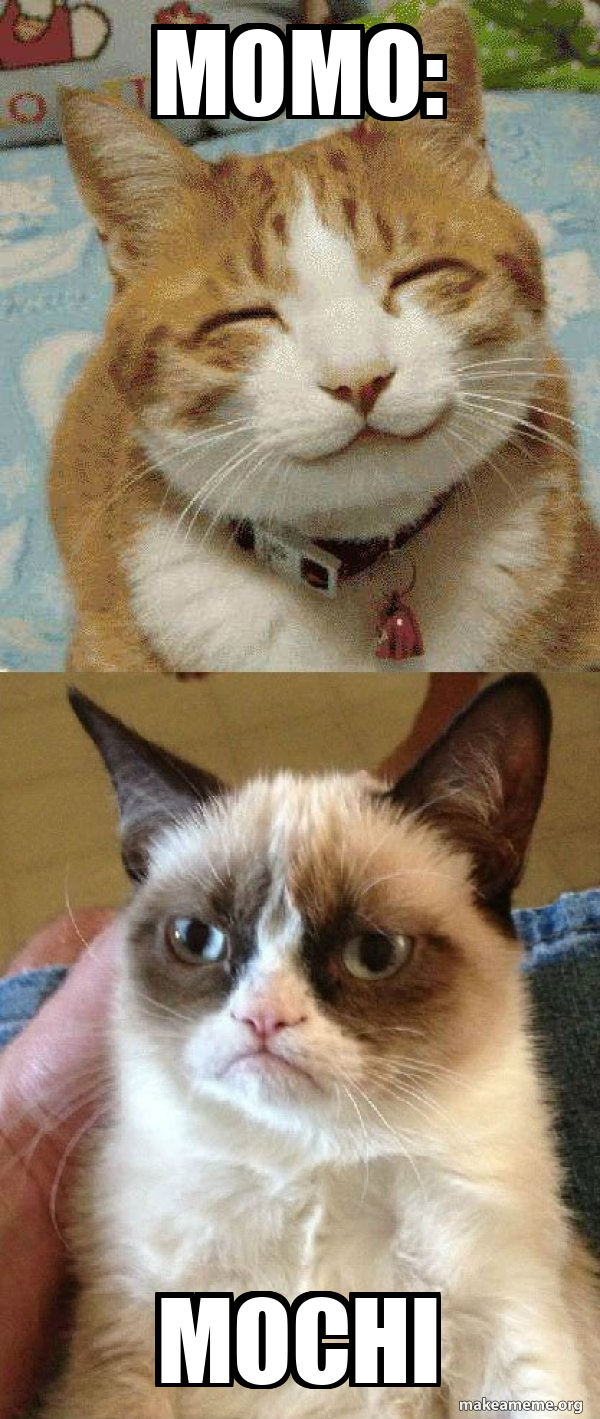 momo: Mochi - Grumpy Cat vs Happy Cat Meme Generator