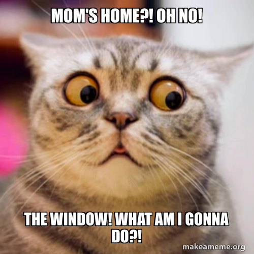 Mom's Home?! Oh NO! The Window! What am I gonna do?! Meme Generator