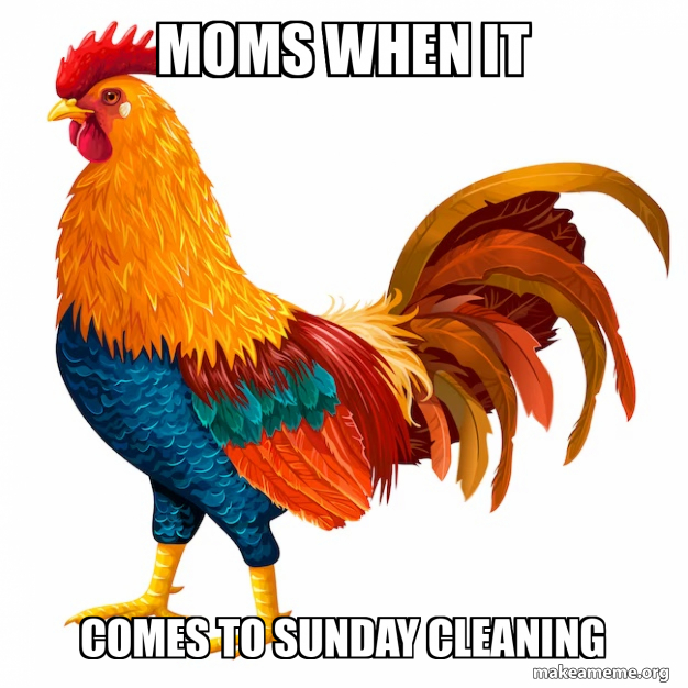 moms when it comes to sunday cleaning Meme Generator
