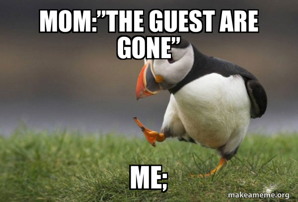 Mom:â€ the guest are goneâ€ Me; - Unpopular Opinion Puffin Meme Generator