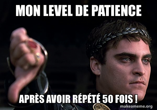 Mon level de patience aprÃ¨s avoir rÃ©pÃ©tÃ© 50 fois ! - Downvoting ...