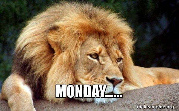 monday...... - Confession Lion Meme Generator
