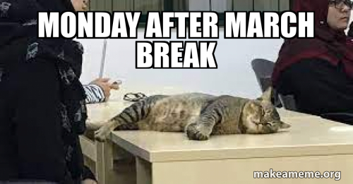 Monday after March break Meme Generator