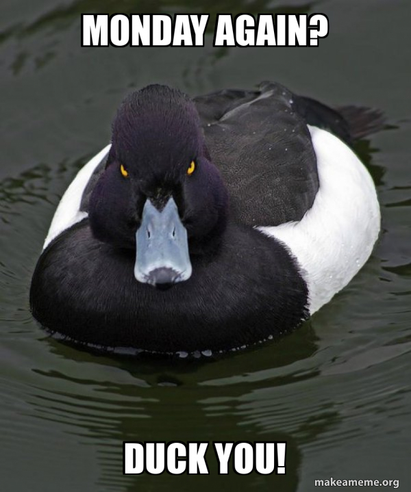 Monday again? Duck you! - Revenge Duck ( Angry Advice Duck ) Meme Generator
