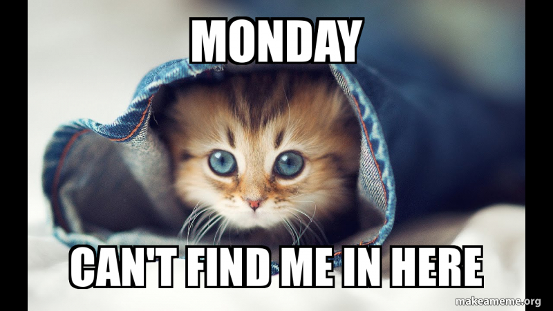 Monday can't find me in here Meme Generator
