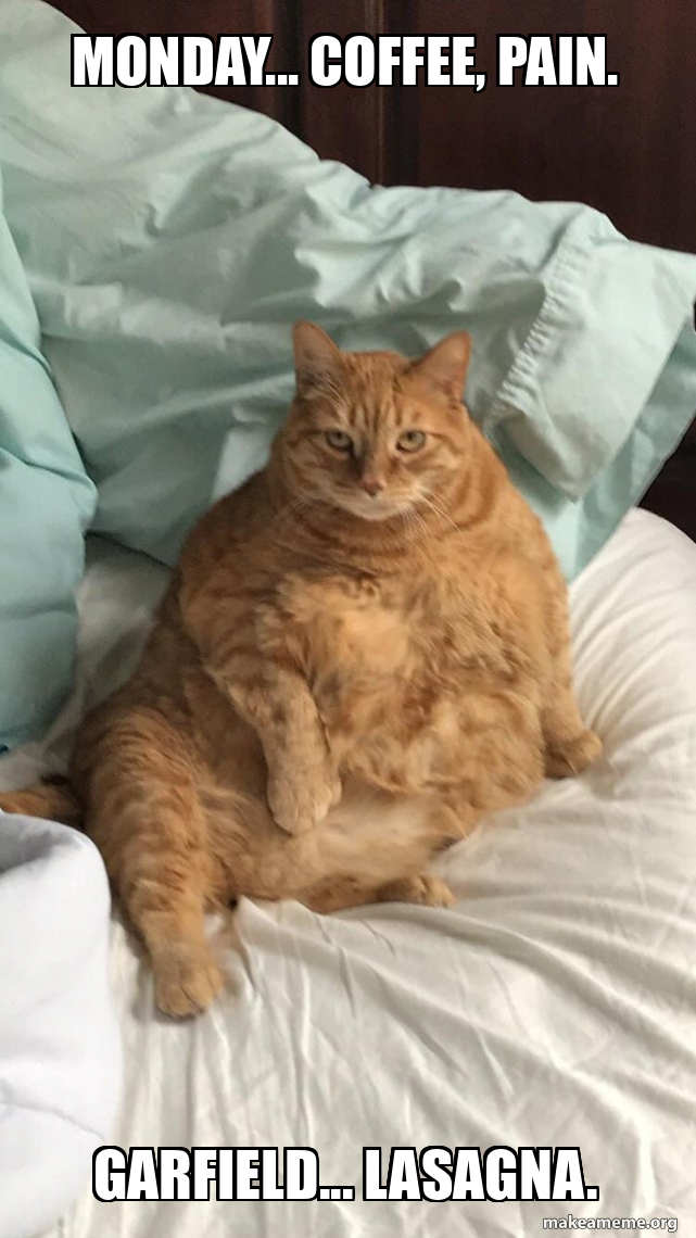 MONDAY... COFFEE, PAIN. GARFIELD... LASAGNA. Meme Generator