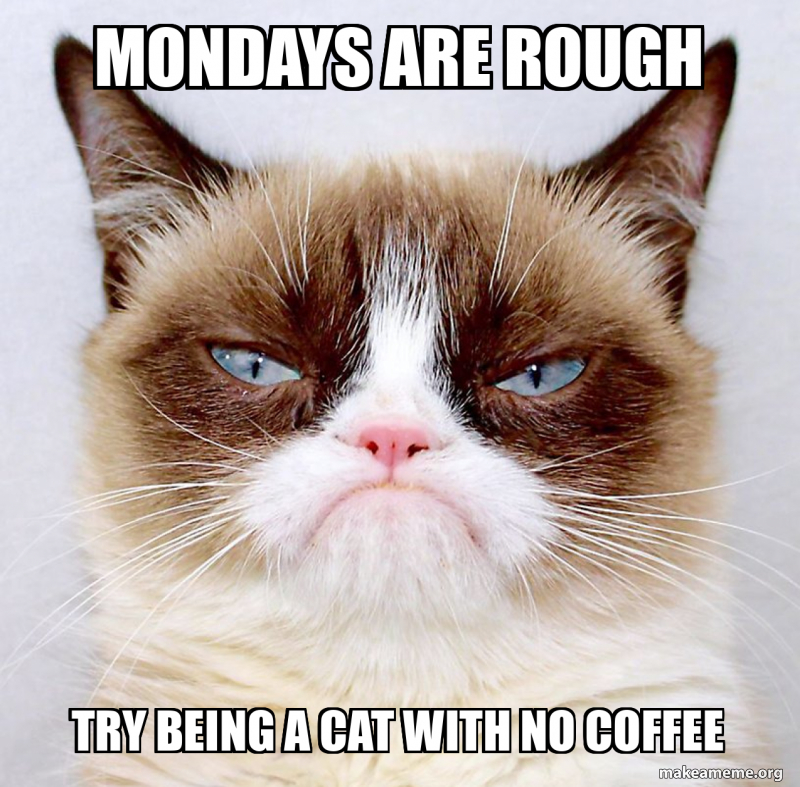 Mondays are rough Try being a cat with no coffee - A grumpy cat Meme ...