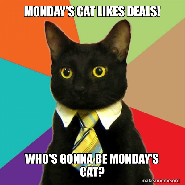 Monday's cat likes deals! Who's gonna be Monday's cat? - Business Cat ...