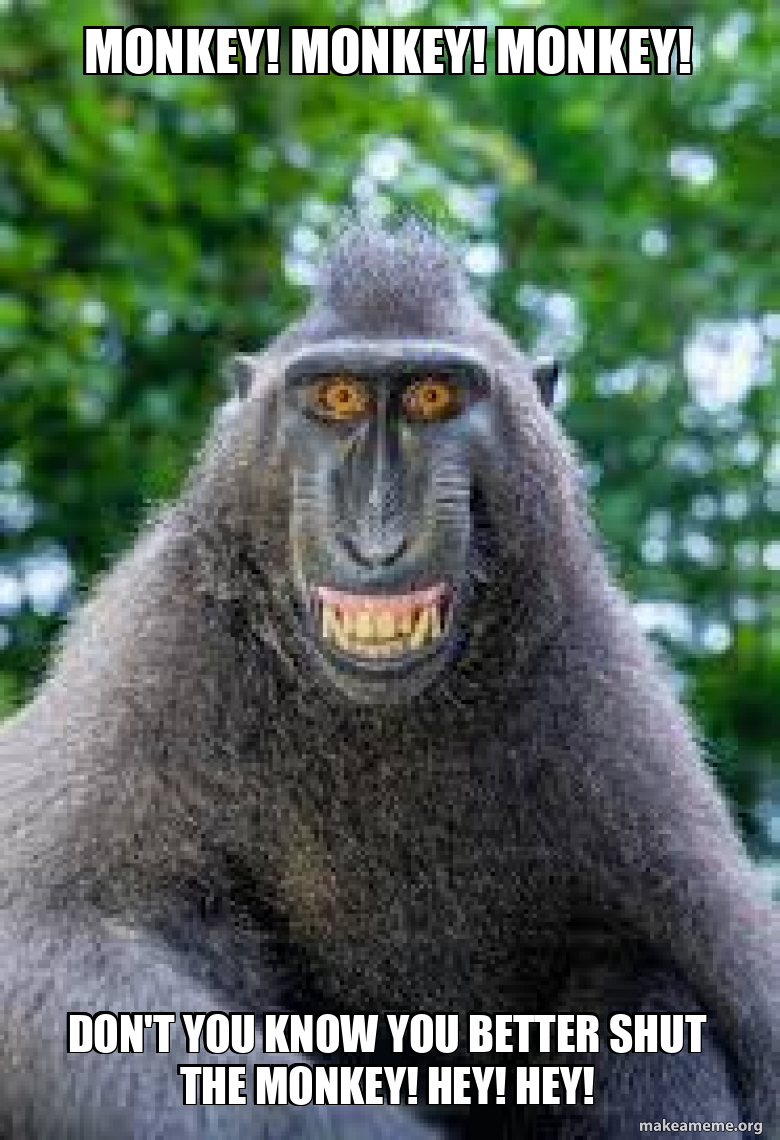 Monkey! Monkey! Monkey! Don't you know you better shut the monkey! Hey ...