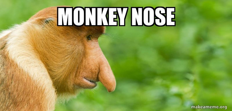 monkey nose Meme Generator