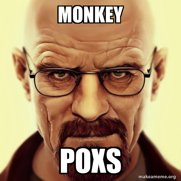 monkey poxs - Walter White Breaking Bad Meme Generator