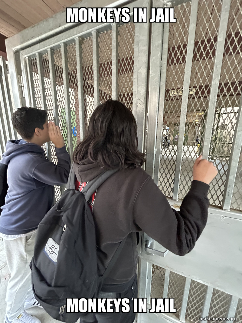 Monkeys in jail monkeys in jail Meme Generator
