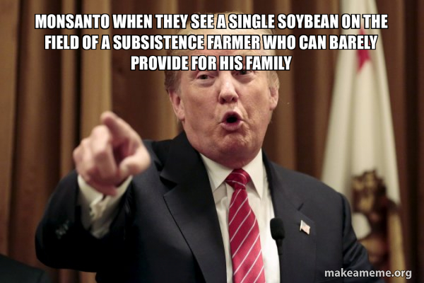 Monsanto when they see a single soybean on the field of a subsistence ...