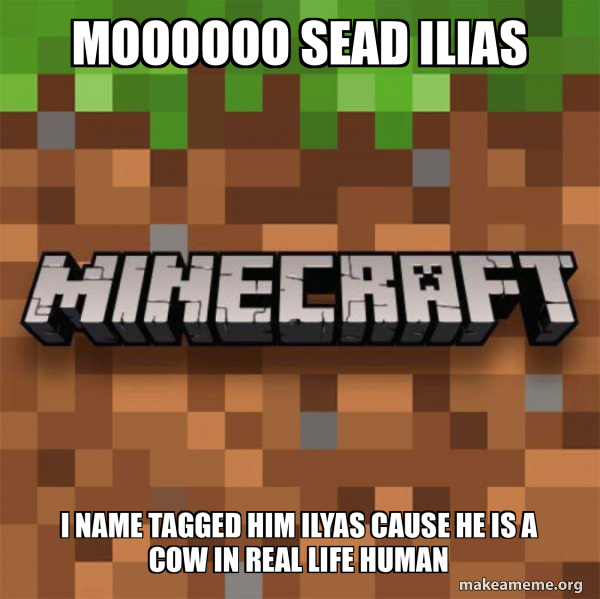 moooooo sead ilias i name tagged him ilyas cause he is a cow in real ...