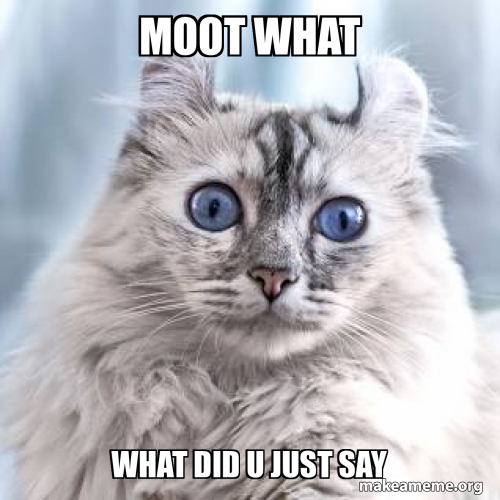 moot what what did u just say Meme Generator