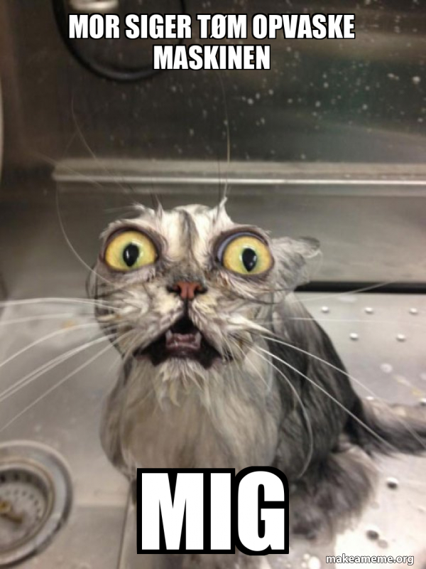 Mor siger tøm opvaske maskinen Mig - Cat bath Meme Generator