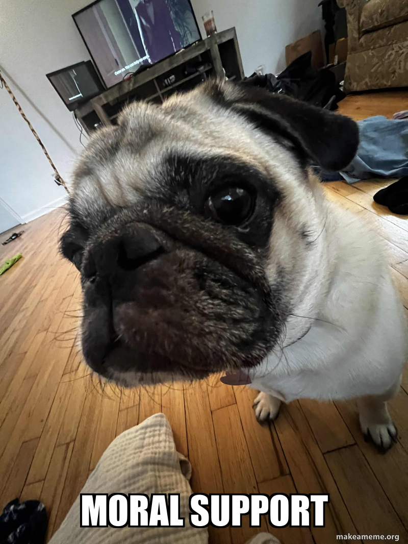 moral support Meme Generator