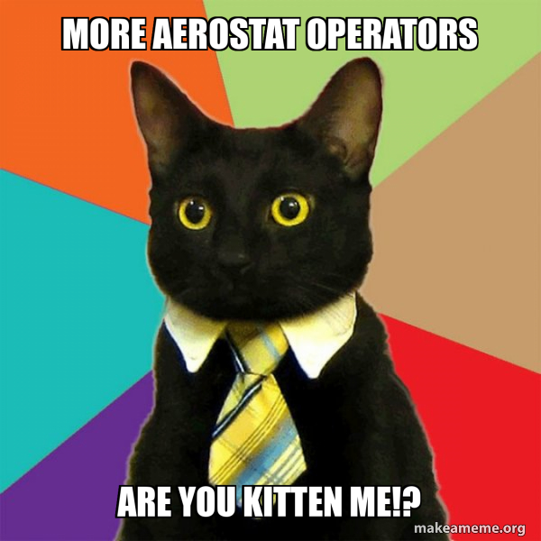 More Aerostat operators are you kitten me!? - Business Cat Meme Generator