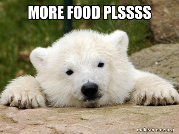 More food plssss - Popular Opinion Bear Meme Generator