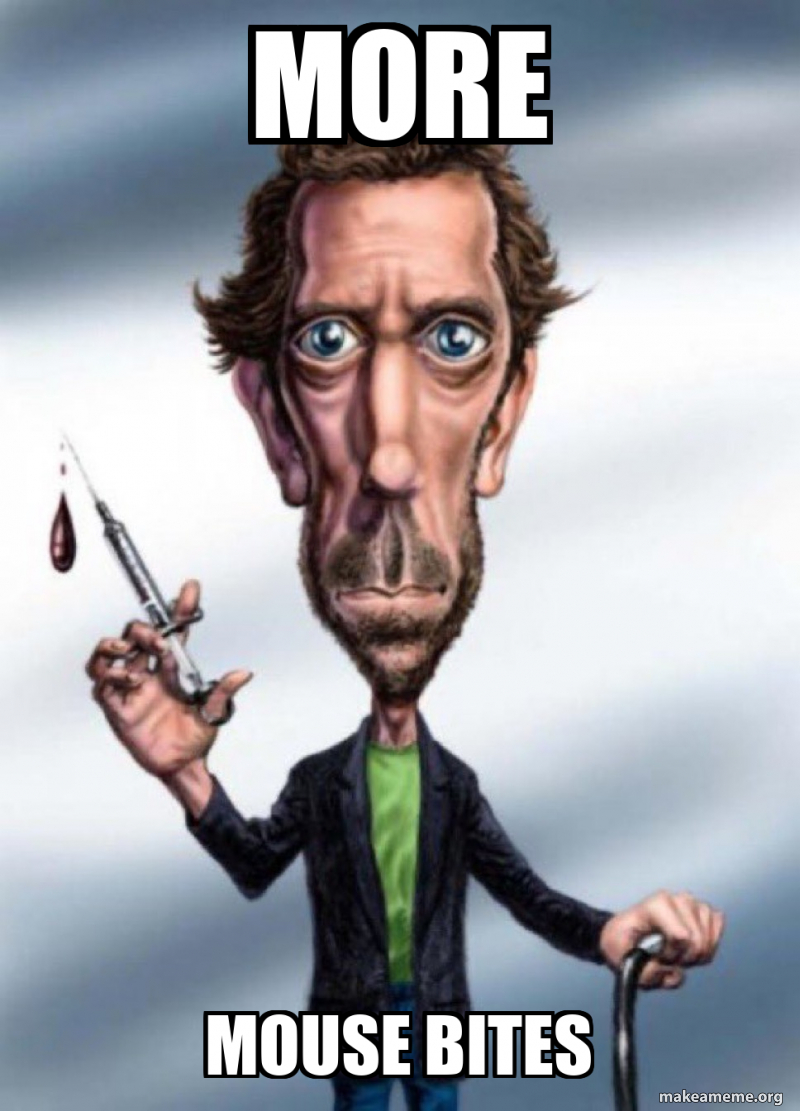 More mouse bites Meme Generator