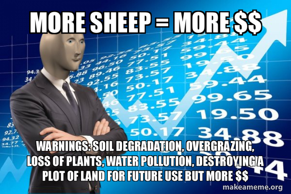 MORE SHEEP = MORE $$ Warnings: soil degradation, overgrazing, loss of ...