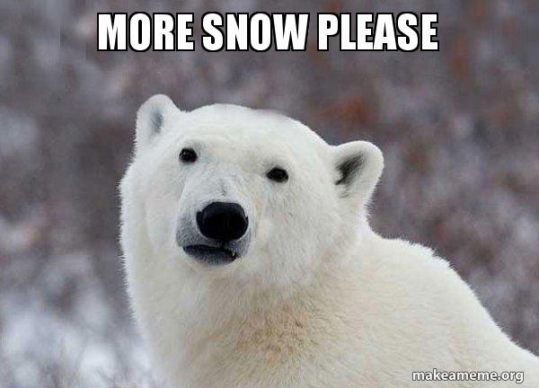 more snow please - Popular Opinion Polar Bear Meme Generator